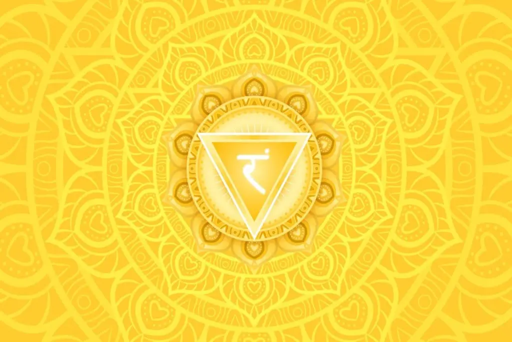 →Uma visão profunda dos 7 chakras do corpo humano | 2024